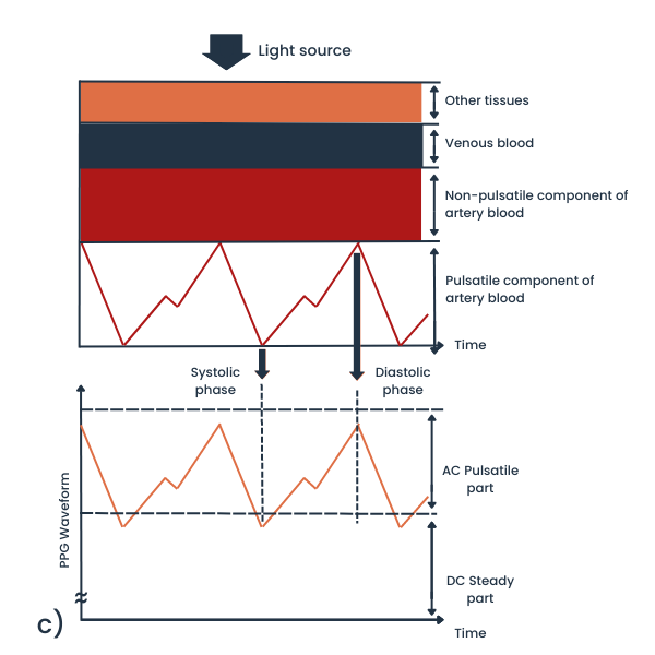Chapter 3: Photoplethysmography (PPG), the new kid on the block ...